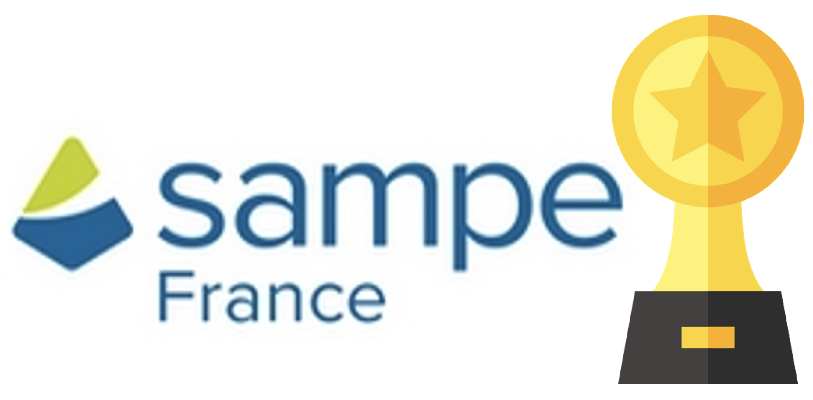 Award - 2019 - SAMPE student competition - France - Bionics Group