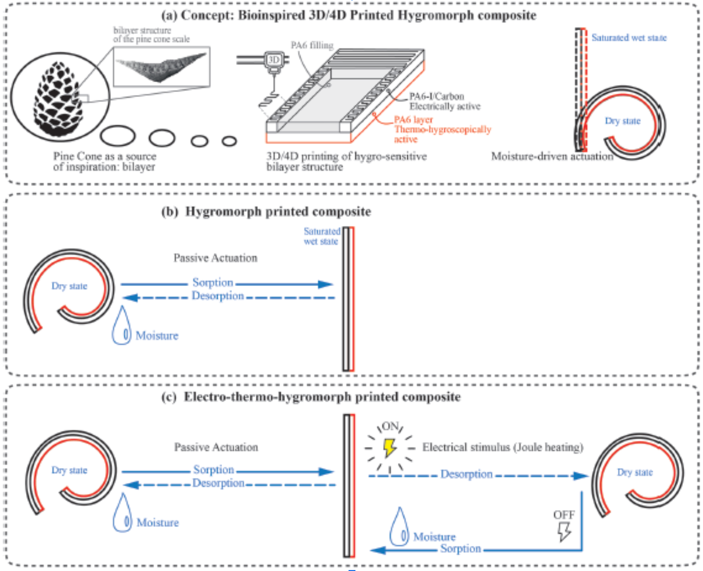 Research description - Bionics Group